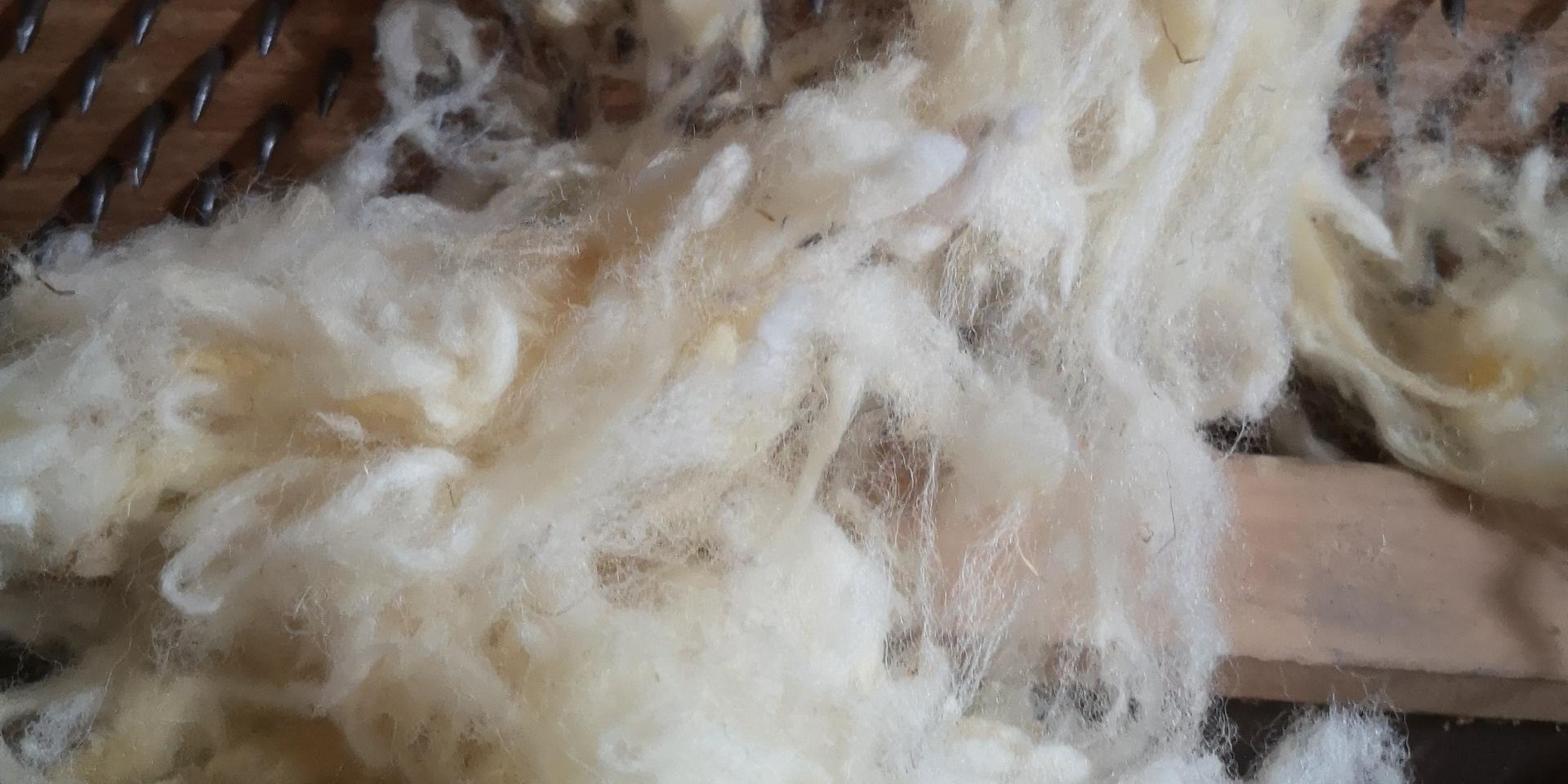 Pyrenean Wool | Lourdes Tourist Office
